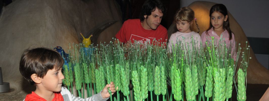 The Blind Museum in Holon - HomeAway Israel